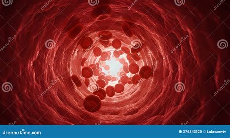 Capillary Cartoons Illustrations And Vector Stock Images 7309 Pictures