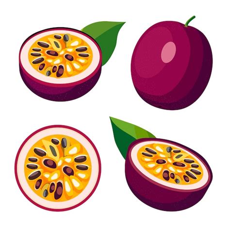 Premium Vector Set Of Passion Fruit And Slices Isolated Vector Fruit