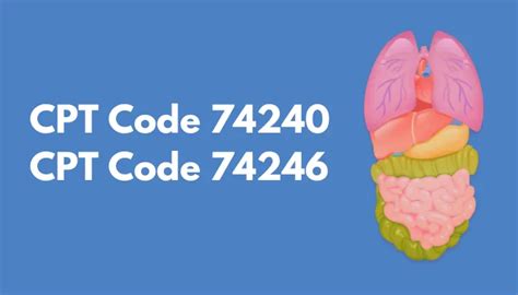 Cpt Code 96125 Cognitive Performance Testing