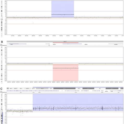 Copy Number Variants Cnvs Associated With Structural Rearrangements