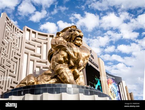 Mgm Grand Lion Is Mgm Grand King Of The Las Vegas Jungle Complete Mgm