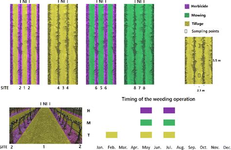 Figure 1 From Plant Functional Diversity Is Affected By Weed Management