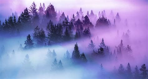 What Does Equality Mean How You Can Make A Better World Givebody All Natural Skincare