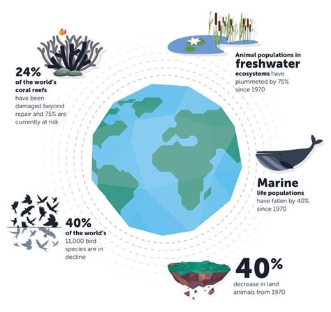 Jacopo Simonetta Posted On Linkedin