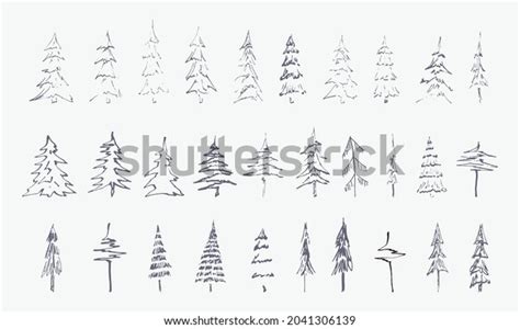 Set Hand Drawn Forest Trees Vector Stock Vector Royalty Free