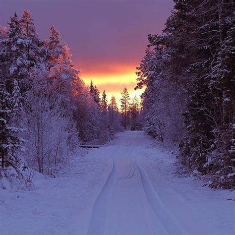 зима Александра Бонсюкова Стихиру