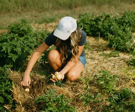 How To Prevent Potato Scab