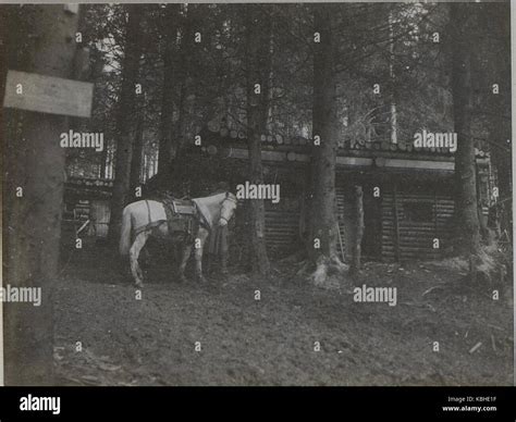 This Image Refers To A Mine Clearing Station Section 2 Of The Grenadier Regiment 3 Likely Used