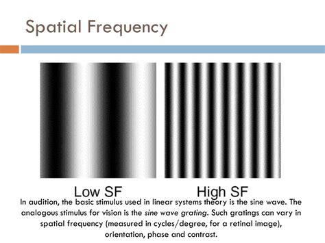 Ppt Week 3 In Perception Powerpoint Presentation Free Download Id
