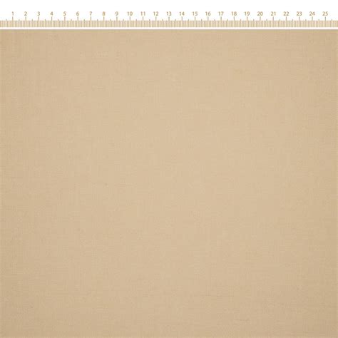 Ccs0049014 Bower Roebuck