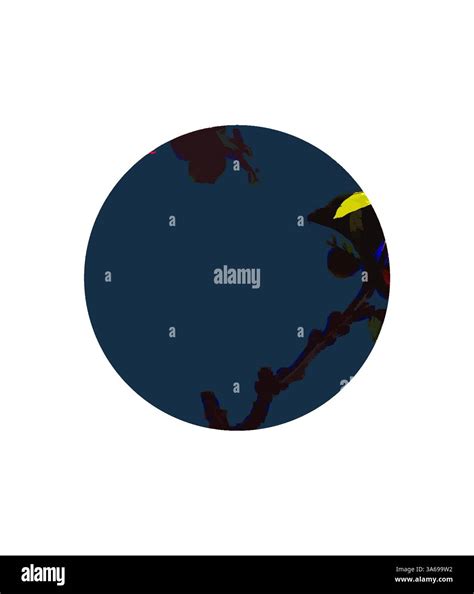 Transformed Cotoneaster Vulgaris Common Cotoneaster Hi Res Stock