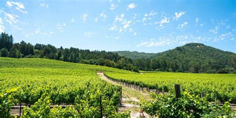 Winery Map Sonoma County Tourism
