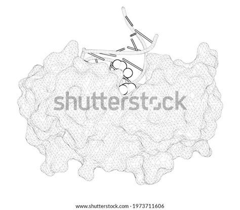 3d Rendering Line Drawing Molecule Structure Stock Illustration 1973711606 Shutterstock