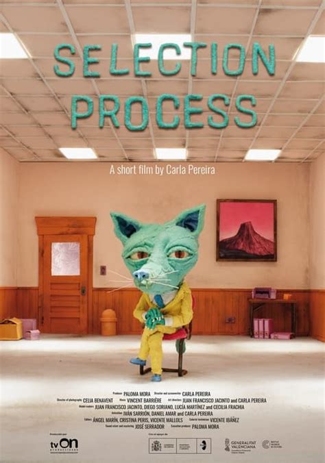 Stream Selection Process 2021 Find It On Netflix Prime Video Hulu