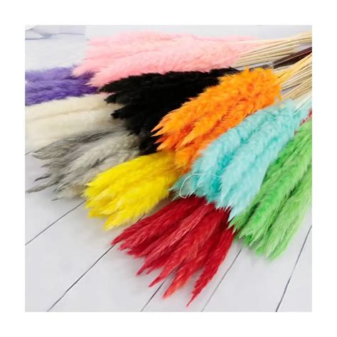 Discover Exquisite Cake Arts With Small Pampas Grass 3pcs