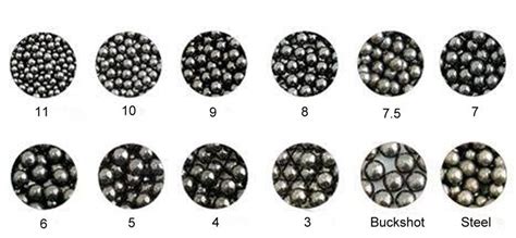 Shotgun Shells A High Level Overview Hiking Camping And Shooting