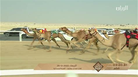 ش4 متعب لـ تريحيب حمد تريحيب بن نايفه الهاجري المحلي السادس 28 12 2022م لقايا قعدان Youtube