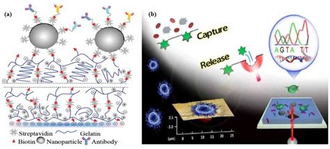 A Tunable Nanostructured Coating At The Surface Of A Microfluidic Download Scientific Diagram