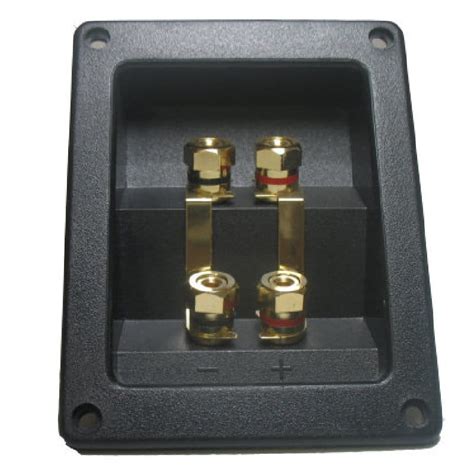 Twin Deluxe Cup Caritas Audio