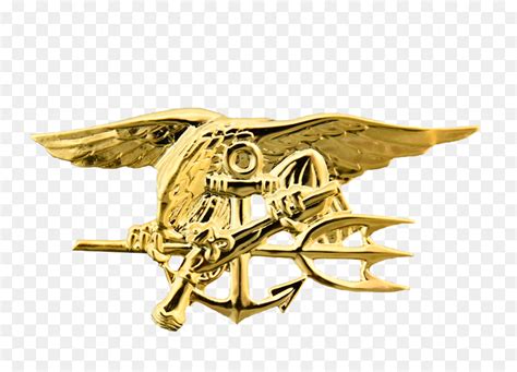 What Is A Navy Seal Trident Pin At Gabriel Faulkner Blog
