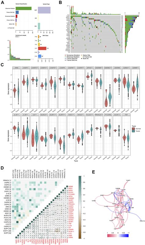 Frontiers Deciphering The Pyroptosis Related Prognostic Signature And