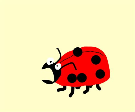 Scared Ladybug Drawception