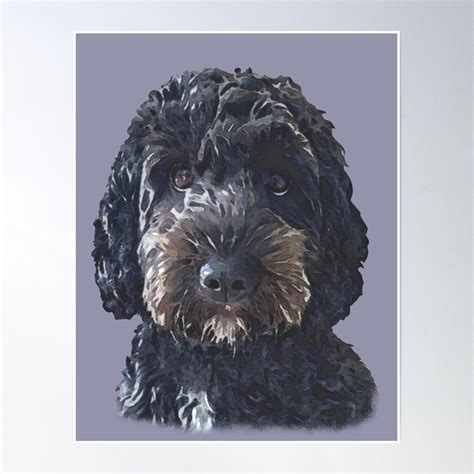 Black Cockapoo Doodle Dog Poster For Sale By Cockapoodled Black