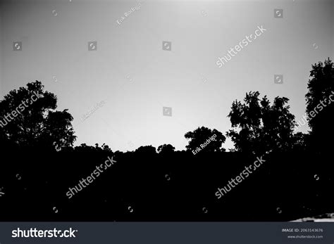 Silhouette Trees Grass Texture Frame Stock Illustration 2063143676 Shutterstock