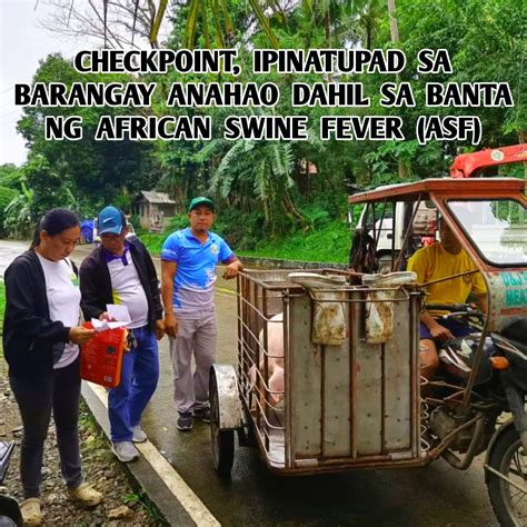 Juvs Falogme Yap Checkpoint Ipinatupad Sa Barangay Anahao Dahil Sa