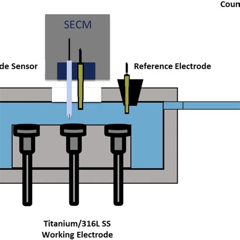 Schematic Of The Secm Experimental Setup Download Scientific Diagram