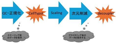 シングルセルScanpyを用いて各クラスターに自動で細胞種を割り当てるscRNA seq LabCode