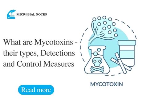 The Characteristics Of Fungi An Exploration Of Their Complex Nature