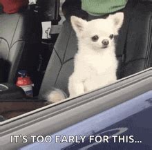 Too Early S Tenor