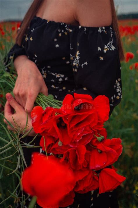 Cute Woman In A Red Field Of Poppy Flowers Stock Image Image Of Lady