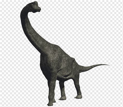Diplodocus Walking With Dinosaurs Png