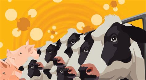 Emissions Impossible Methane Edition Iatp