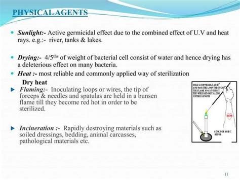 Decontamination Unit And Constant Fumigation Unitpptx