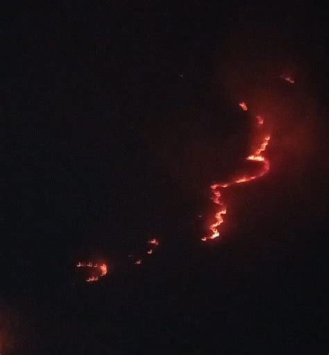 Zjarr Në Pyjet E Pogradecit Zbardhen Detajet E Para Sot News Lajme