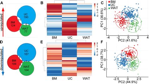 Regulation Of Distinct Gene Sets By Heparin Gene Expression Profiling