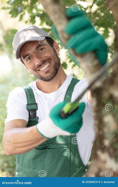 Man Cutting Branches Tree Using Saw Stock Image Image Of Work