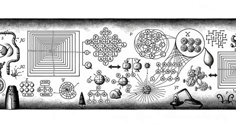 The Semantic Hypergraph Sh Model A Deep Dive Into Representing Linguistic Meaning By