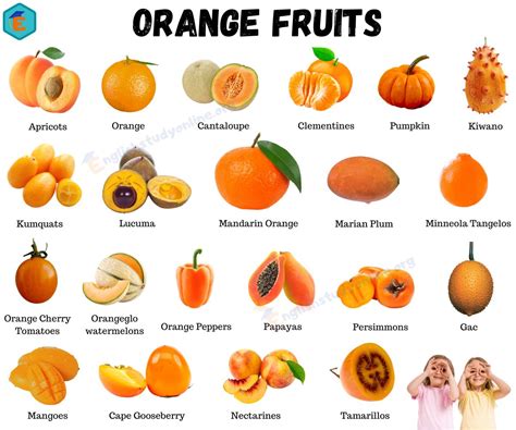D Fruit Name Fruits That Start With D Complete List Of 40 Fruit