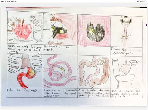 Digestive System Comic Strip