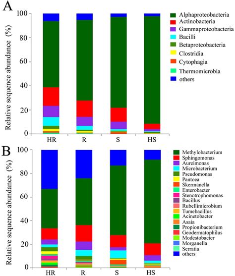 Relative Abundance Of Phyllosphere Bacteria At The Class And Genus Download Scientific Diagram