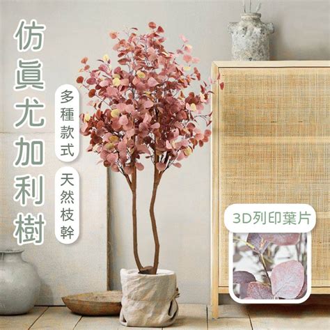 預購 尤加利樹 仿真植物 仿真盆栽 居家裝飾 室外植栽 尤加利 盆栽 裝飾 民宿裝飾 塑膠植物 假植物 假樹 綠色植物 蝦皮購物