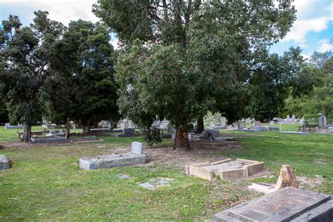 Springvale Botanical Cemetery Melbourne New Zealand War Graves Project