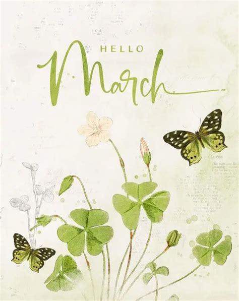 Rain Rain Go Away Alesa Smith