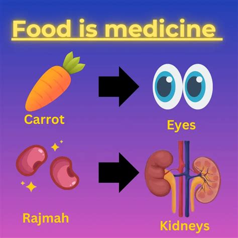 Bsc Food Science Nutrition And Dieteticsfsnd Loyolafsnd • Instagram Photos And Videos
