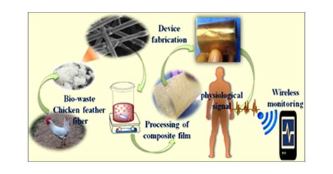Nature Driven Biocompatible Epidermal Electronic Skin For Real Time