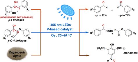 Thermal Photonic And Electrocatalysis In Lignin Depolymerization